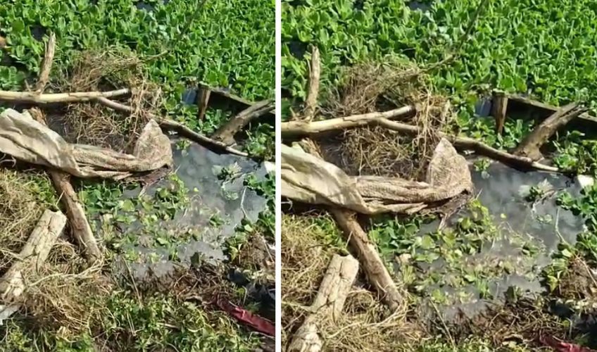 Entenda o caso Nicolly: perguntas e respostas sobre o crime em Hortolândia