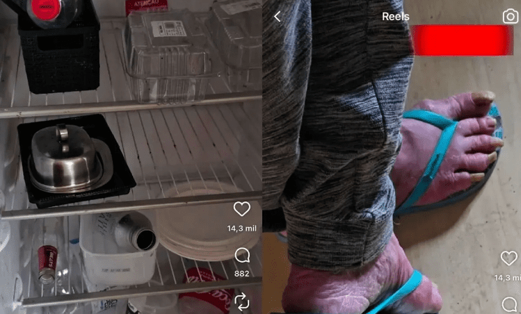 Atriz Rejane Schumann é denunciada por maus tratos à animais em Porto Alegre